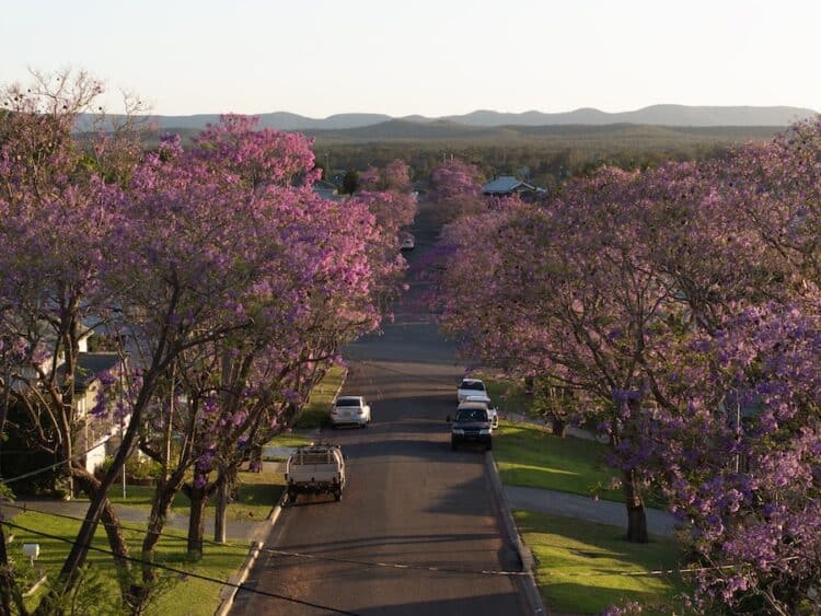 Hunter Region future transport plan revealed - Roads & Infrastructure ...